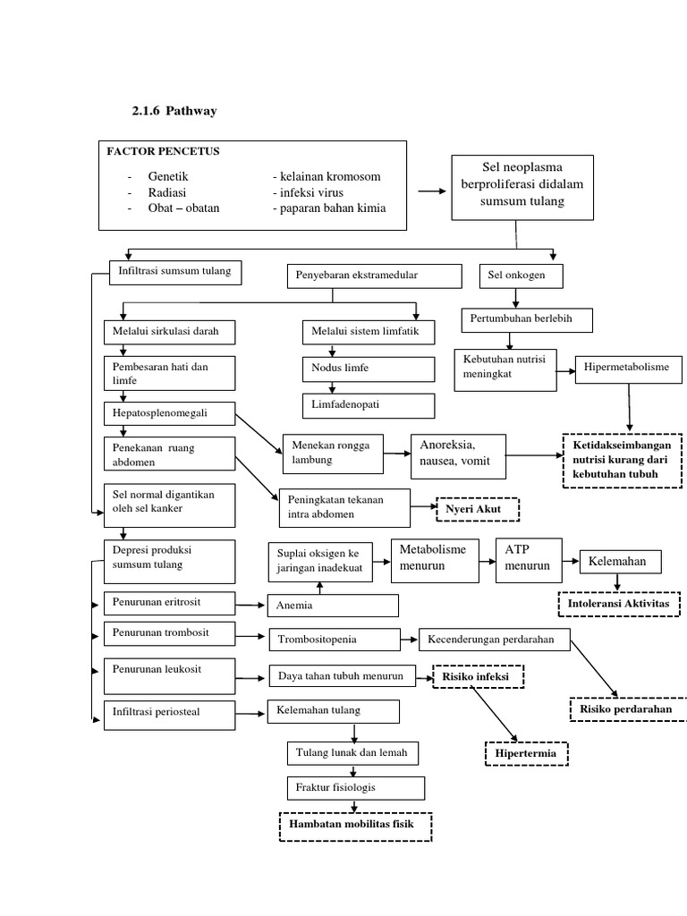 Pathway Leukemia Pada Anak Pdf