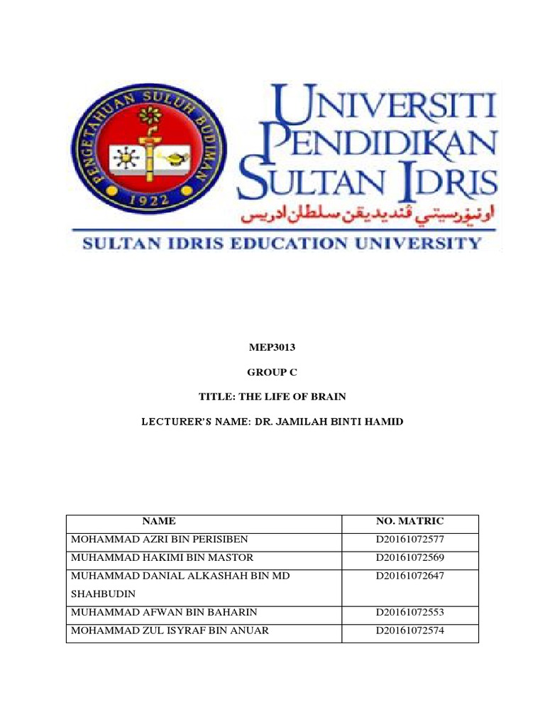 MEP Report | PDF | Learning Theory (Education) | Learning Styles