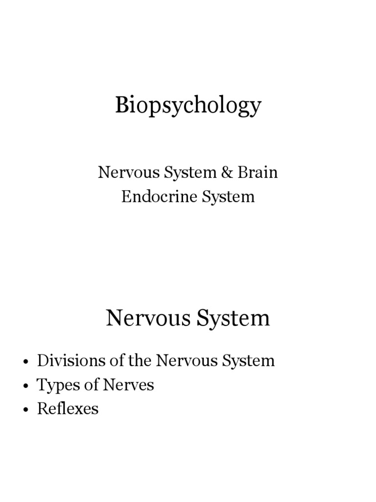 Biopsych Review | PDF | Neuron | Neurotransmitter