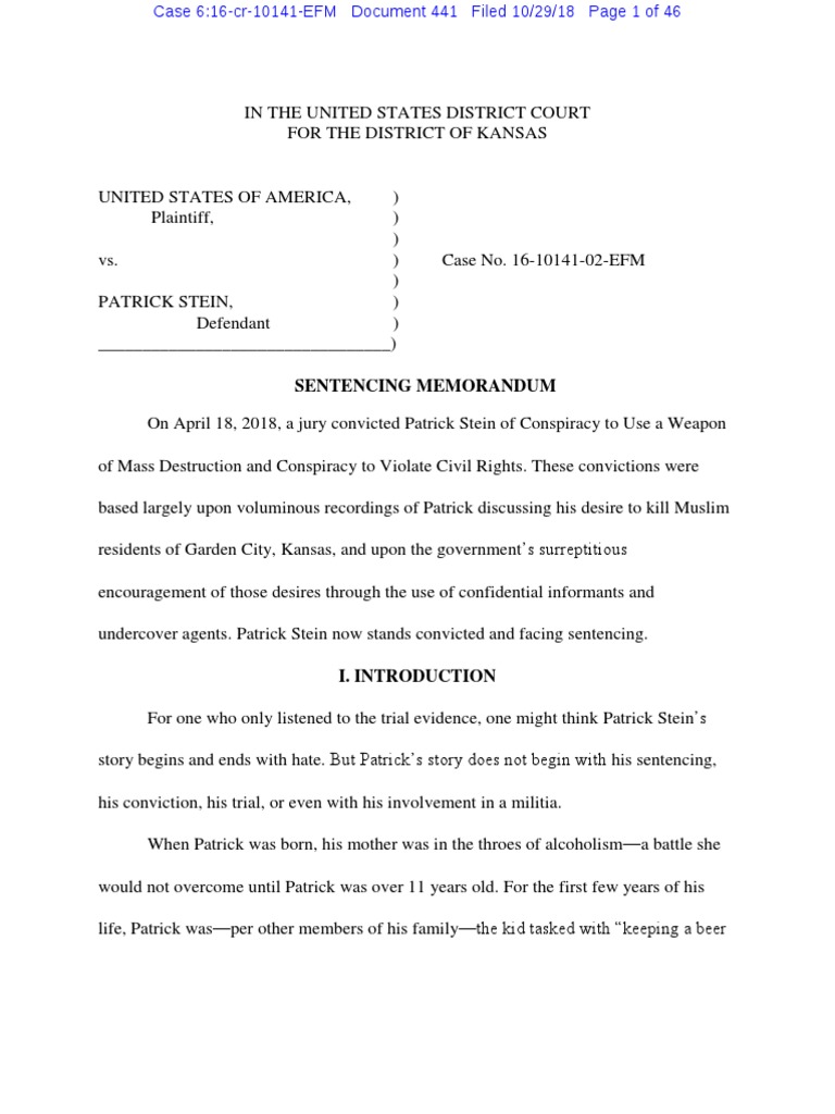 Sentencing Memorandum For Trump-Supporting Domestic Terrorist Patrick ...