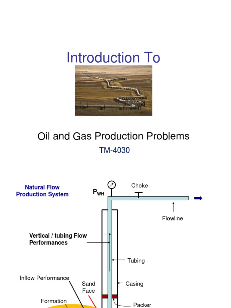 Introduction of Well Problems | PDF | Petroleum Reservoir | Fluid Dynamics