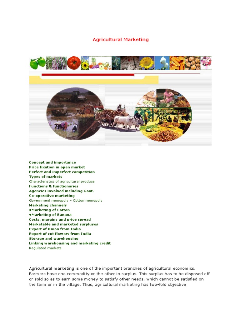 Agricultural Marketing Pdf Monopoly Market Economics