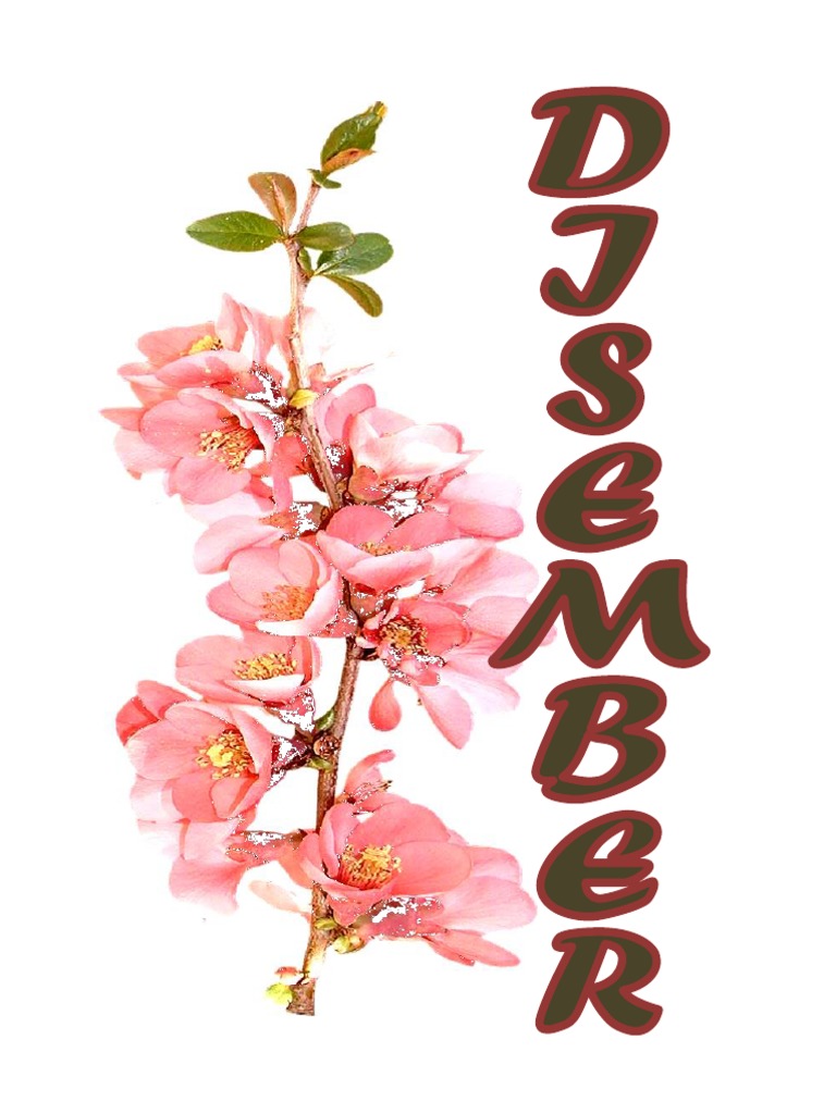 Divider Bulanan | PDF