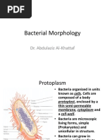 List of Bacteria 40 Scientific Names With 40 Common Names | PDF ...