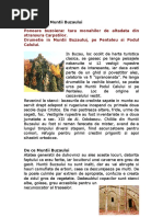 Model Extras de Cont | PDF