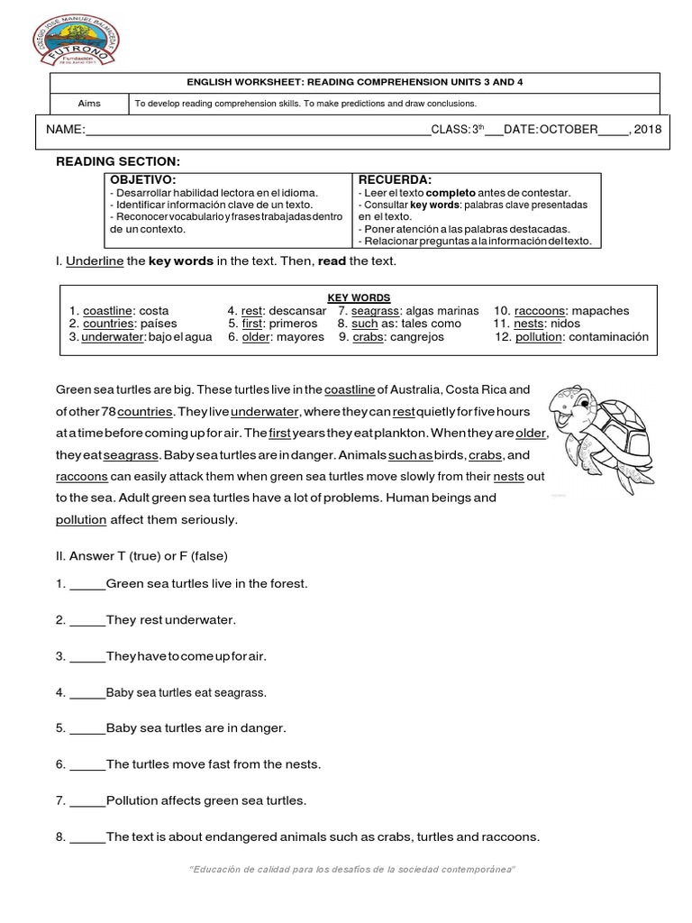 Guia de Ingles - Comprensión de Lectura | PDF | Sea Turtle | Organisms