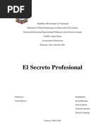 El Secreto Profesional en Enfermeria | PDF