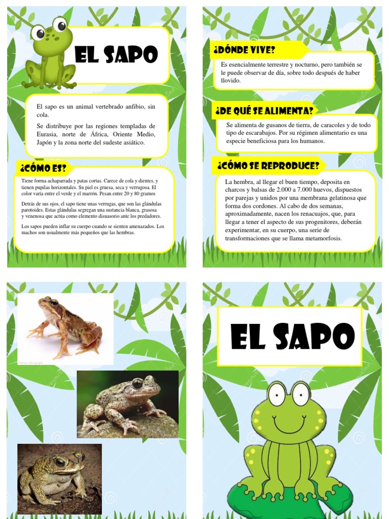 Características y hábitat del sapo | PDF