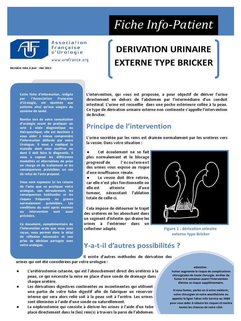 Bricker Cystectomie 1 | Descargar gratis PDF | Urine | RTT