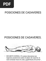 Posiciones Cadavéricas Completo | PDF | Términos anatómicos de ...