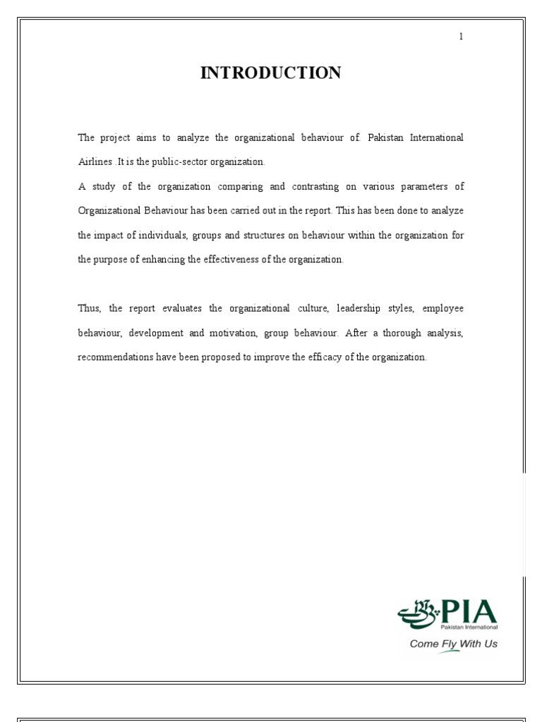 Pia Project | PDF | Employment | Competence (Human Resources)