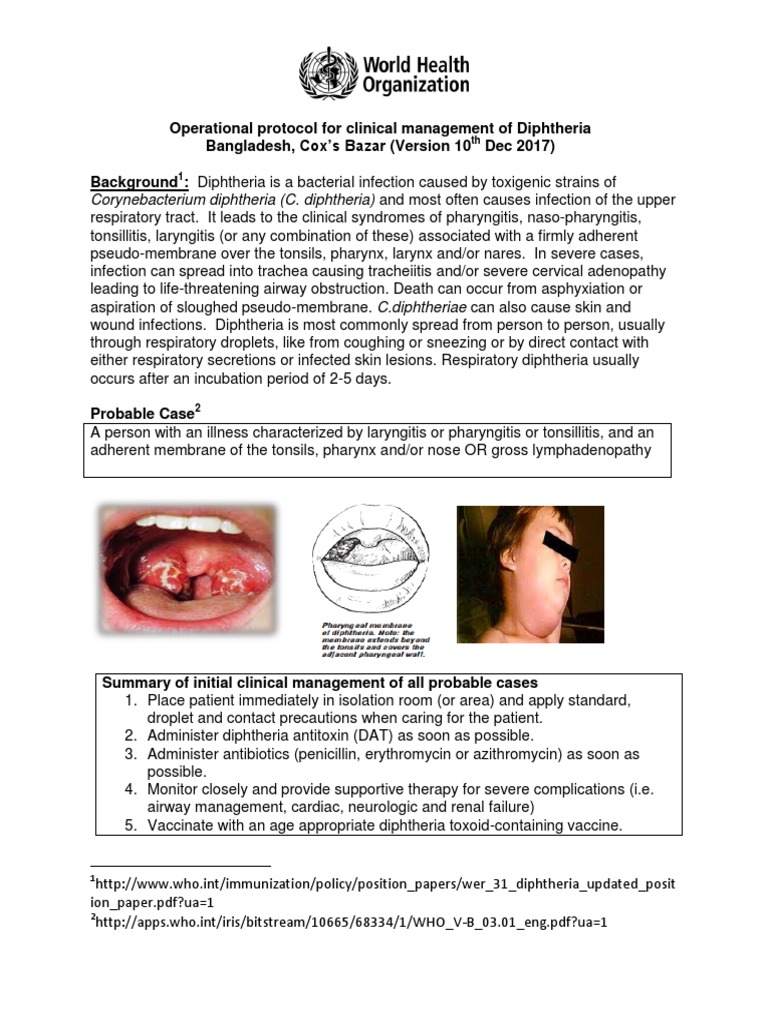 Clinical Protocol for Diphtheria Management | PDF | Respiratory Tract ...