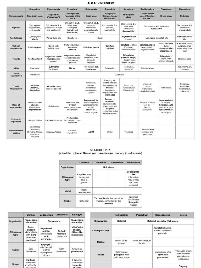 An Overview of the Major Groups of Algae: Their Distinguishing ...