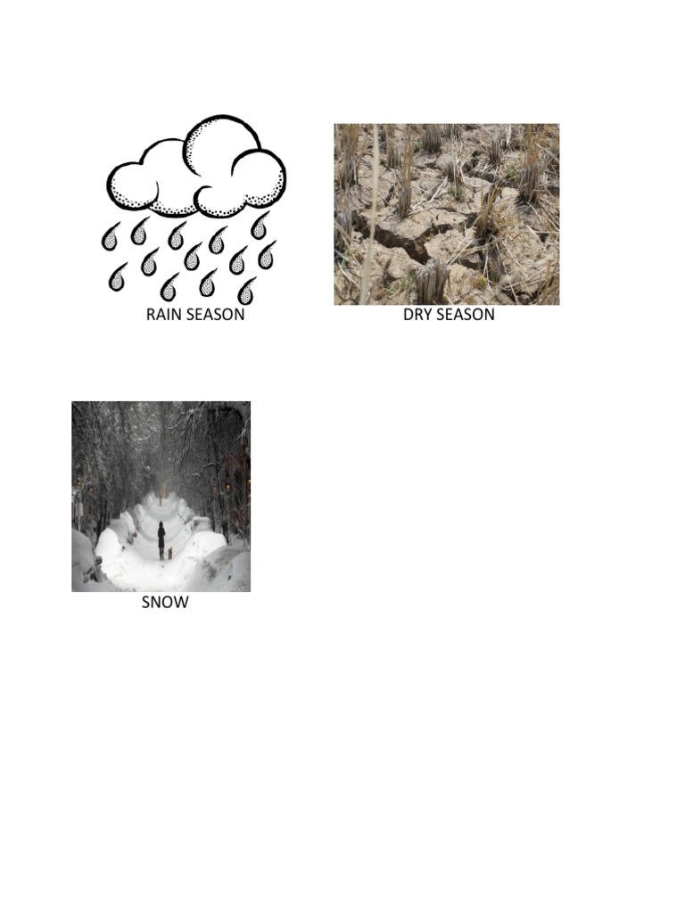 Rain | PDF