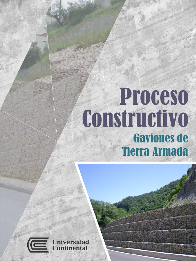 Proceso Constructivo PDF | PDF | Naturaleza