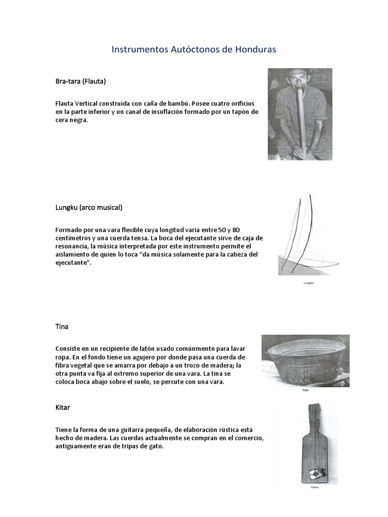 Instrumentos Autóctonos de Honduras | PDF | Instrumentos musicales | Flauta