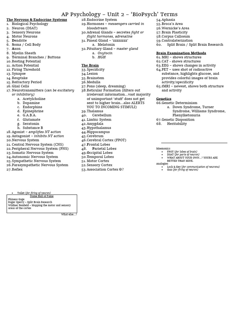 Ap Psychology - Unit 2 - Biopsych' Terms: Bloodstream Flight Hormones ...