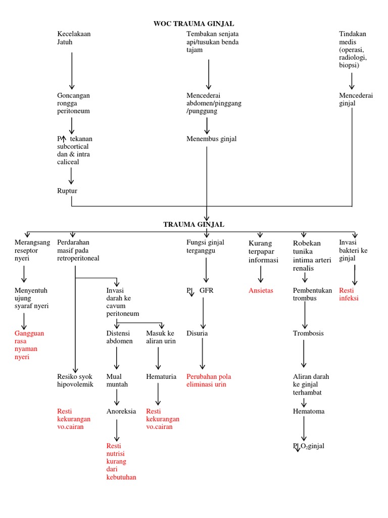 Woc Trauma Ginjal | PDF