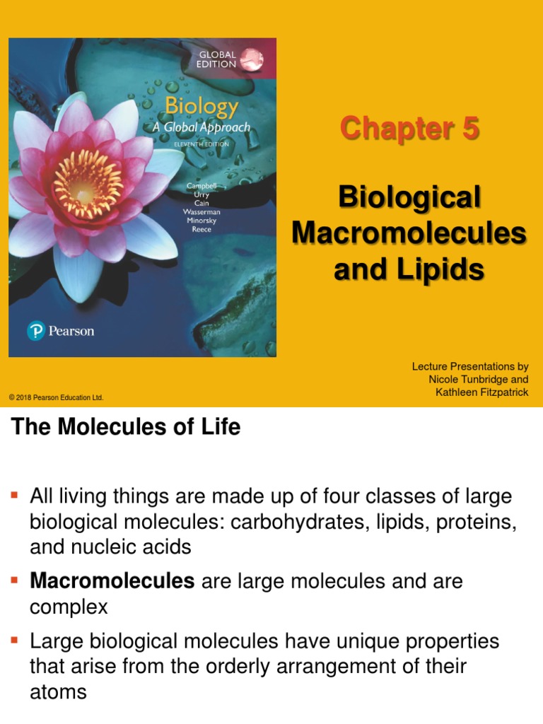 Biological Macromolecules and Lipids: Lecture Presentations by Nicole ...