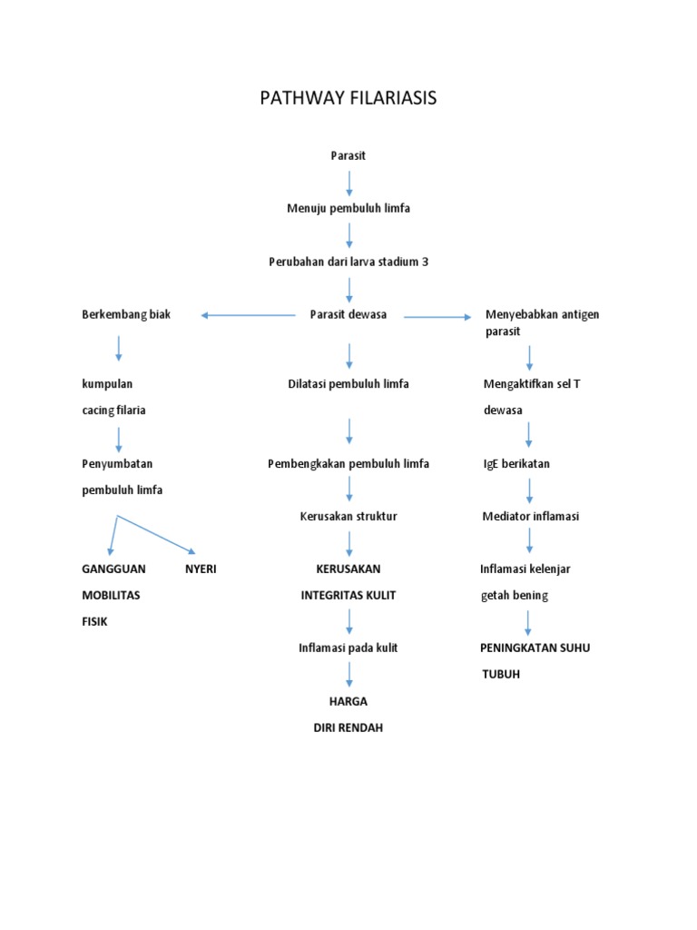 Pathway Filariasis | PDF