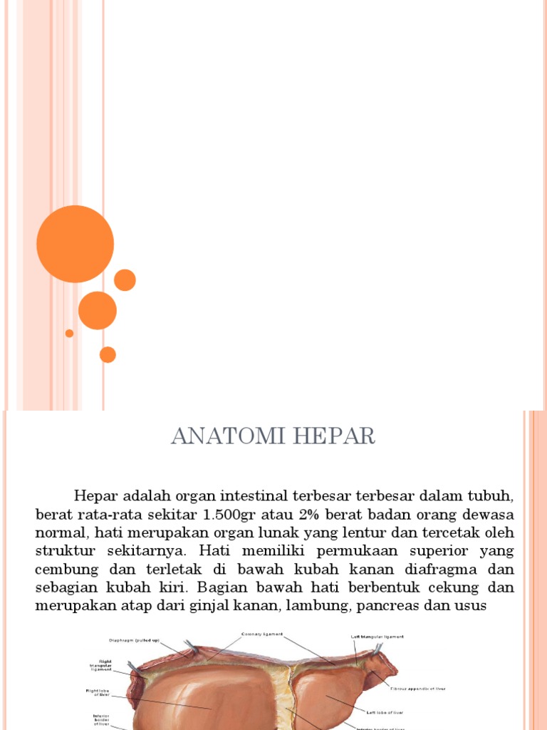 Anatomis dan Fisiologi Hepar serta Sirosis | PDF