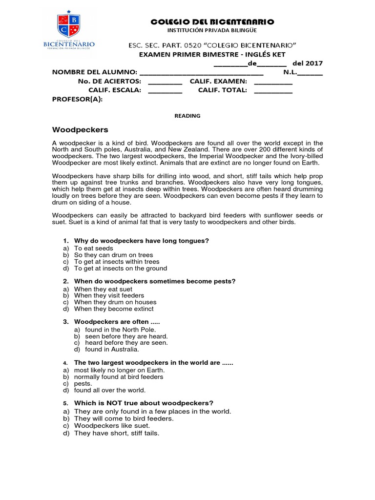 Ket Test 1 | PDF | Birds | Tetrapods