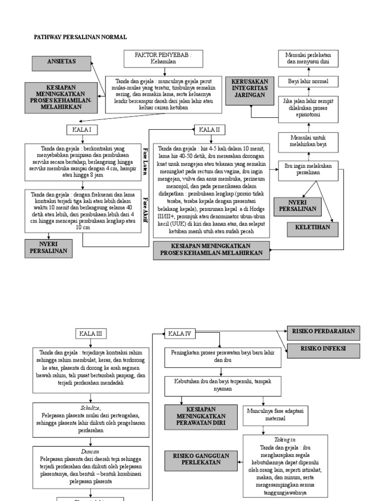 Pathway Persalinan Normal | PDF