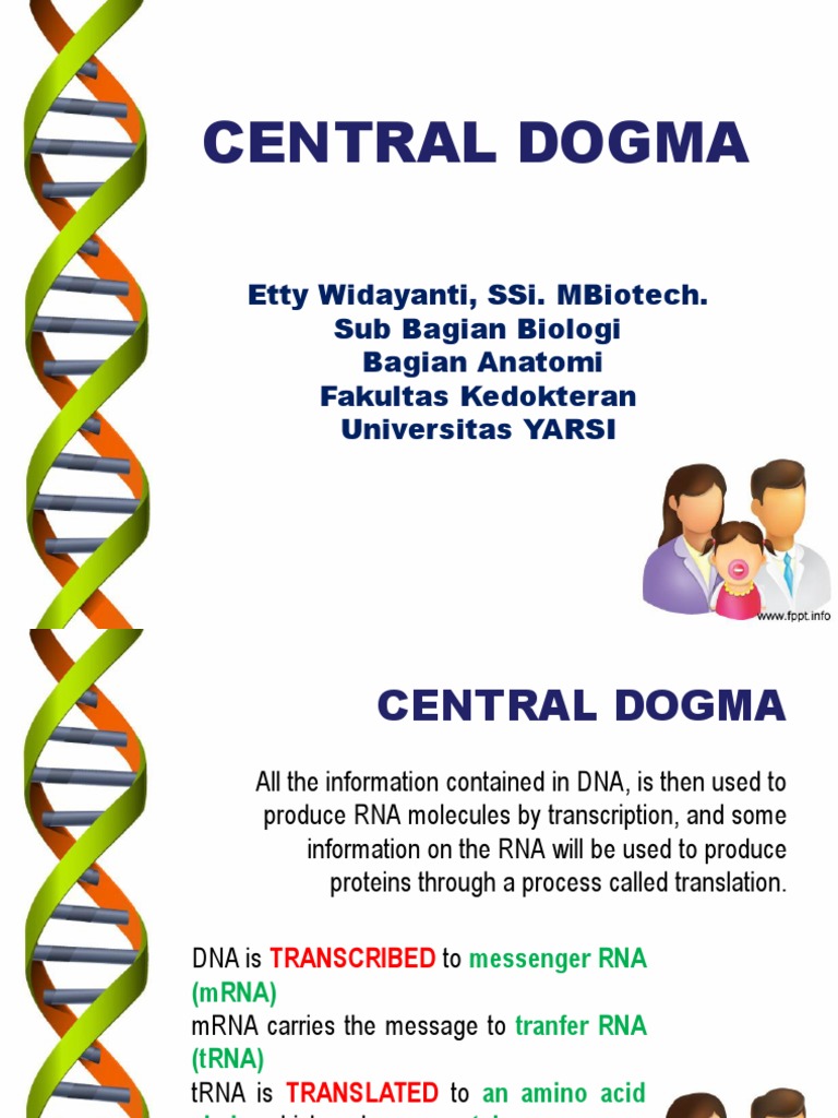 Presentasi BMS1 Dogma Sentral | PDF | Translation (Biology) | Messenger Rna