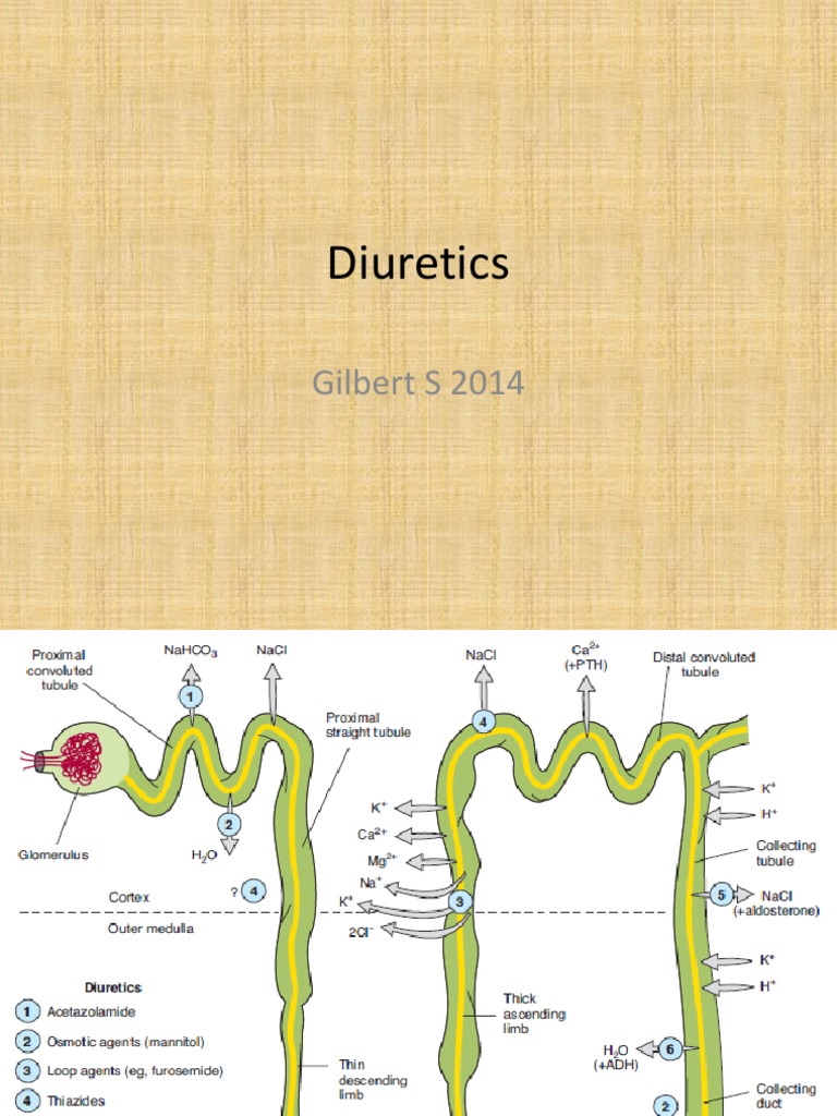 Diuretics: Gilbert S 2014 | PDF | Kidney | Medical Specialties