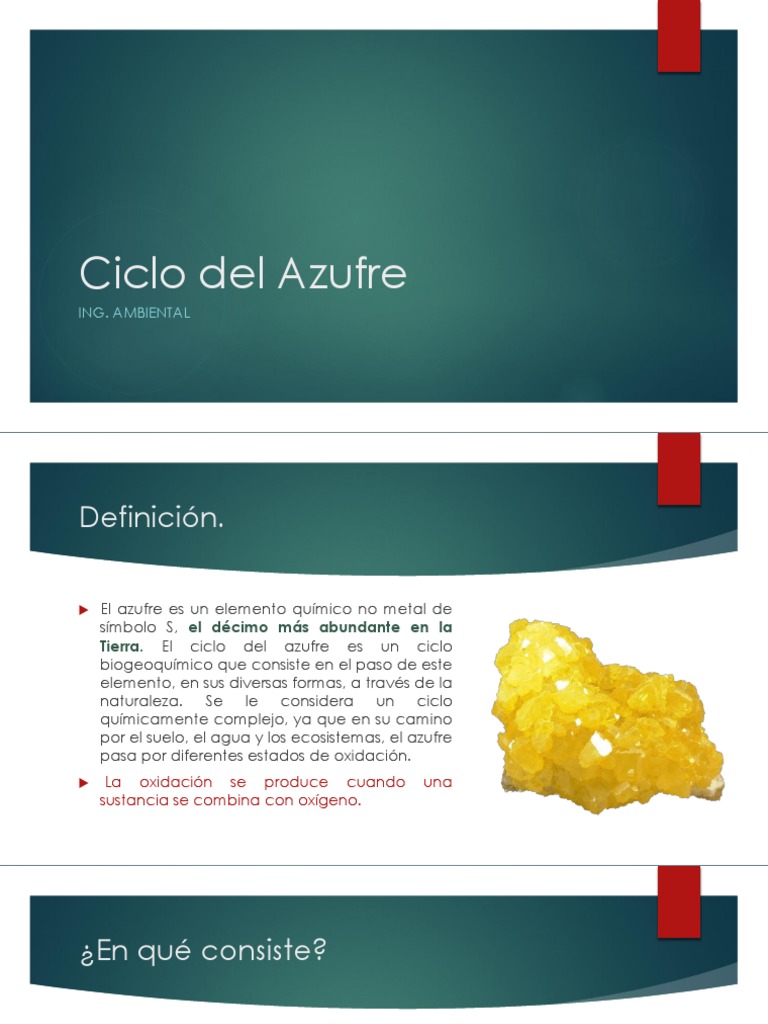 Ciclo Del Azufre | PDF | Azufre | Suelo