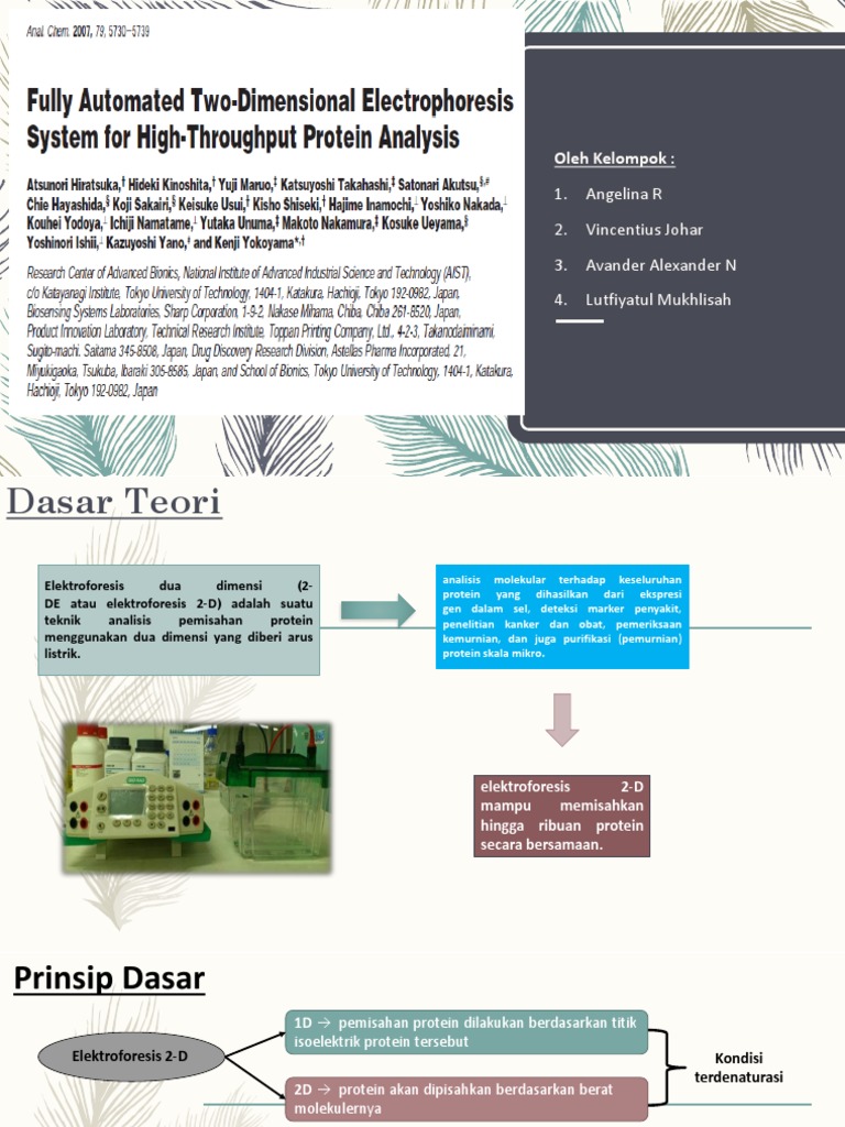 2D Elektroforesis | PDF