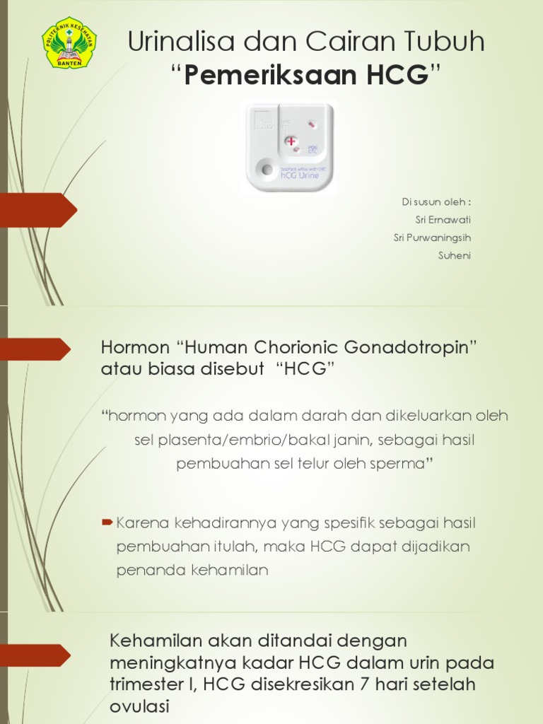 Pemeriksaan HCG | PDF