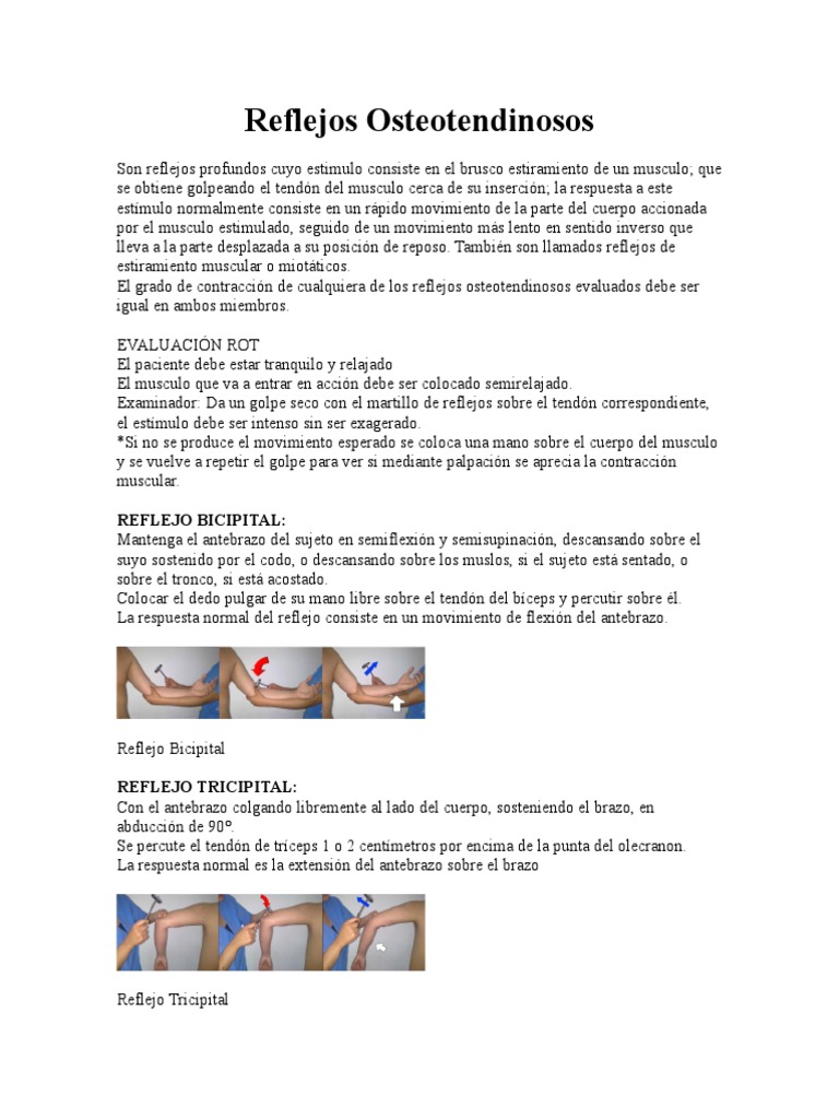 Reflejos Osteotendinosos