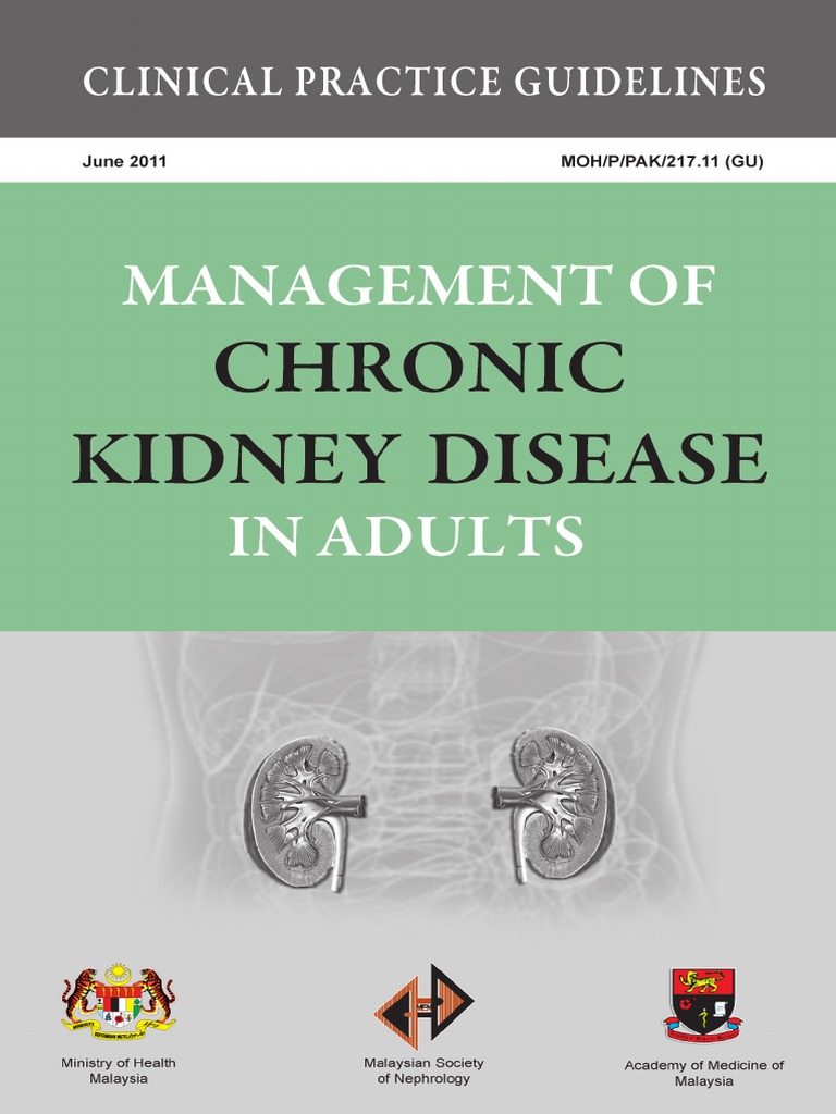 CPG Management of Chronic Kidney Disease | PDF | Renal Function ...