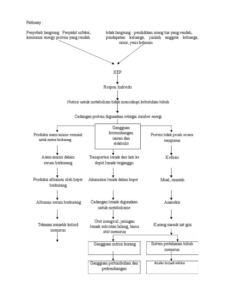 Pathway Gangguan Nutrisi dan Metabolisme | PDF
