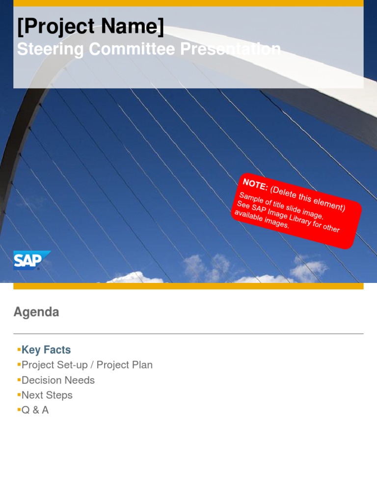 Steering Committee Presentation Template | PDF | Business