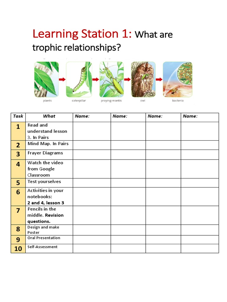 Understanding Trophic Relationships | PDF | Behavior Modification ...