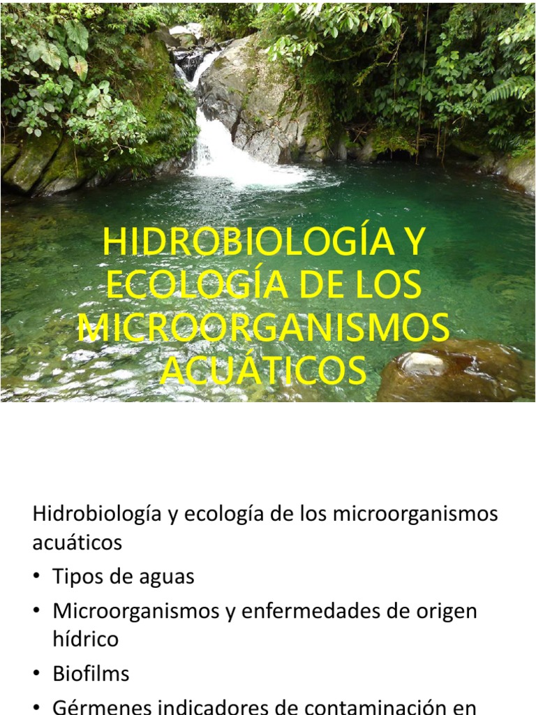 Hidrobiología y Ecología de Los Microorganismos Acuáticos | PDF | Algas ...