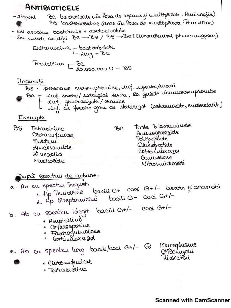 CamScanner Document Guide | PDF