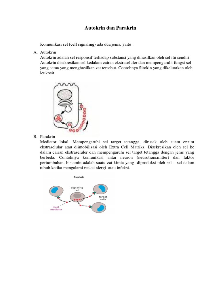Komunikasi Sel: Autokrin & Parakrin | PDF | Pengembangan Diri