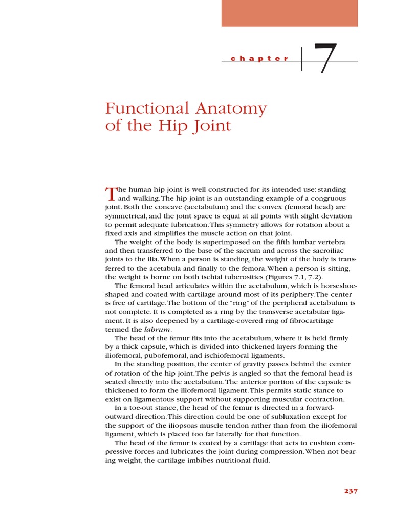 Functional Anatomy of The Hip Joint | PDF | Hip | Human Leg