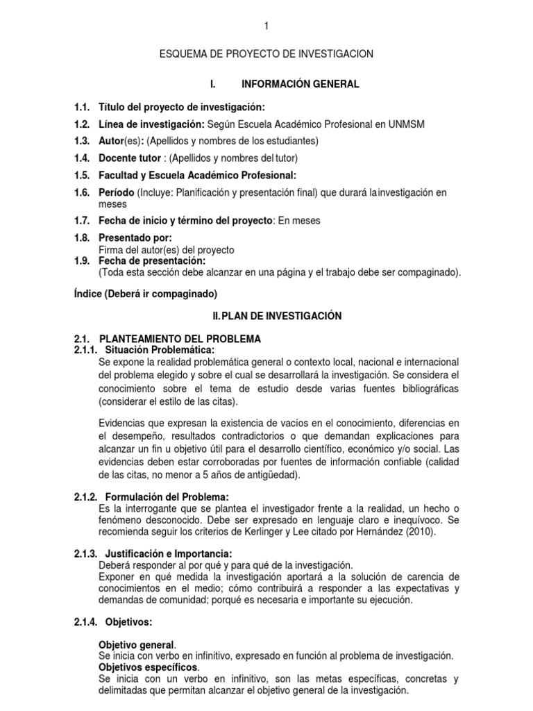 Esquema de Proyecto de Investigación - UNMSM | PDF | Teoría | Hipótesis