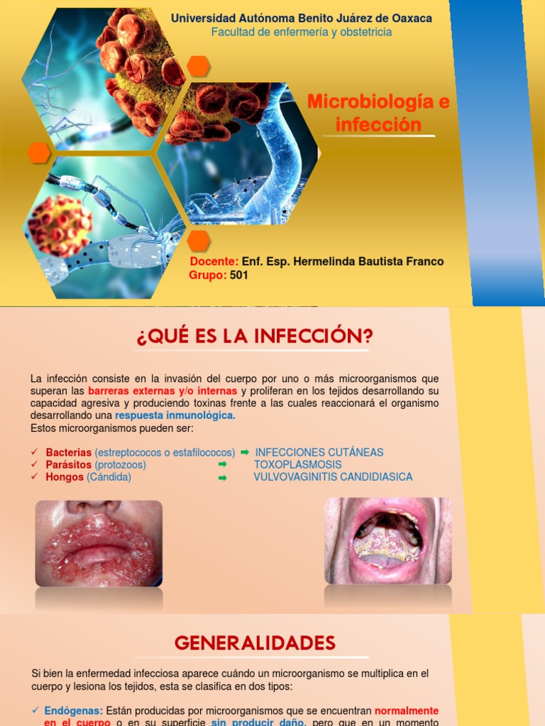 Infecciones: Conceptos y Fases | PDF | Infección | Sistema inmune