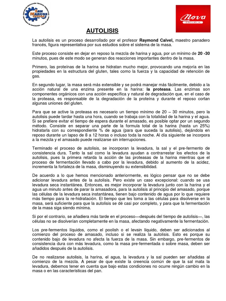 Técnicas de Autolisis y Hojaldre | PDF | Levadura | Alimentos