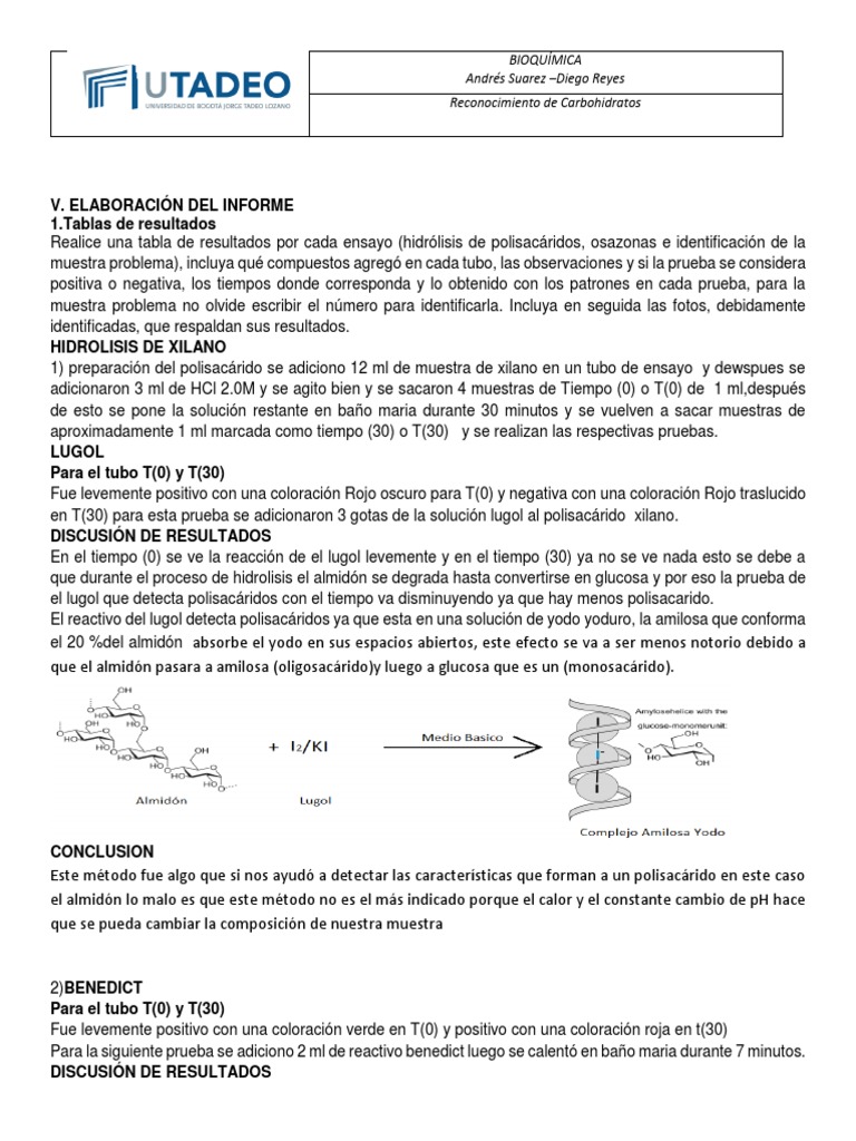 Reconocimiento Carbohidratos Informe | PDF | Carbohidratos | Almidón