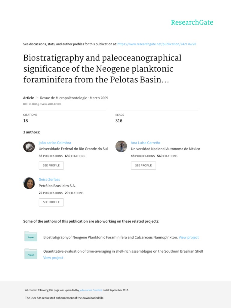 Biostratigraphy and Paleoceanographical Significance of The Neogene ...