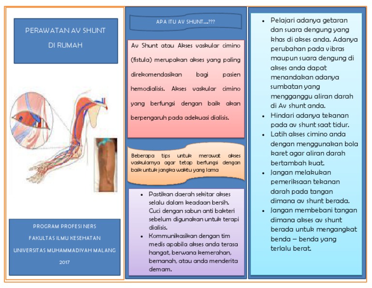 Leaflet Perawatan Av Shunt | PDF