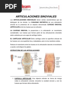 Condrogénesis y Crecimiento del Cartílago | PDF