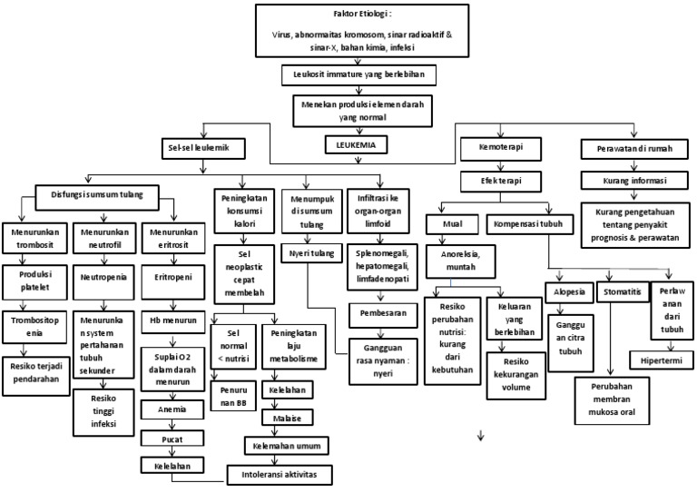 Pathway Leukemia Pada Anak Pdf