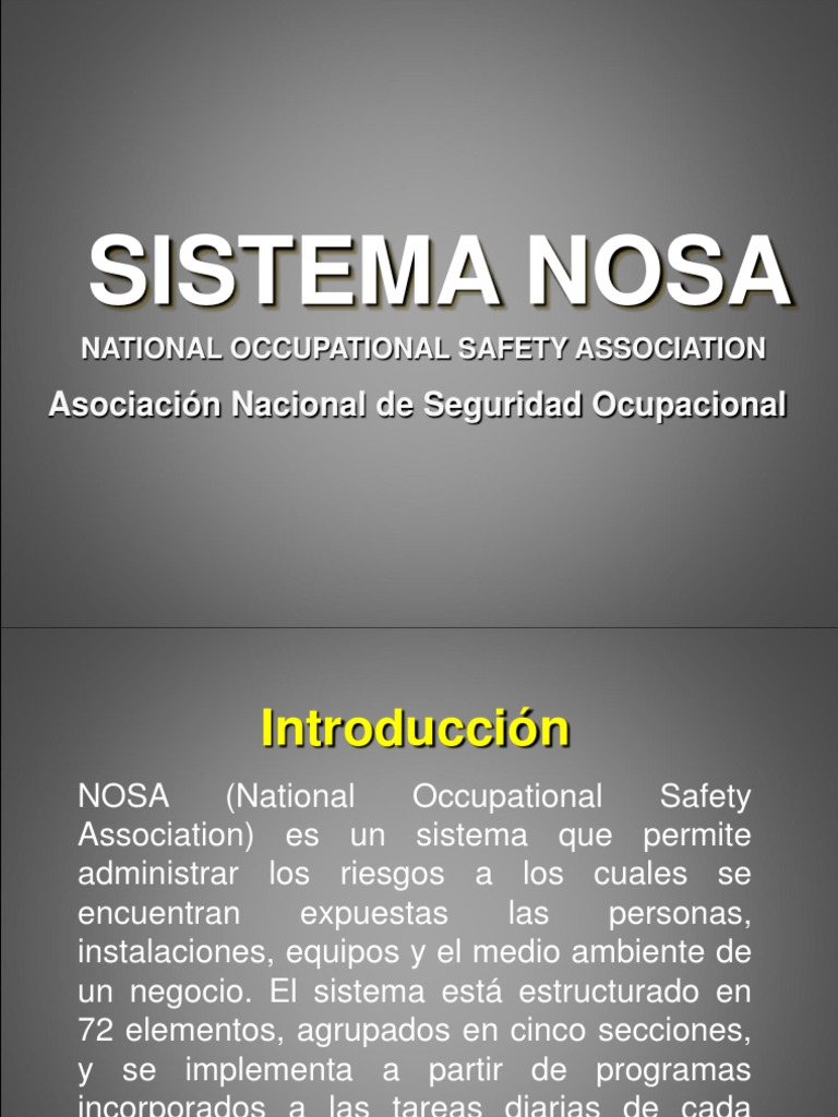 Sistema NOSA 1 | PDF | Evaluación | Riesgo